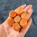 large scallops premium seafood