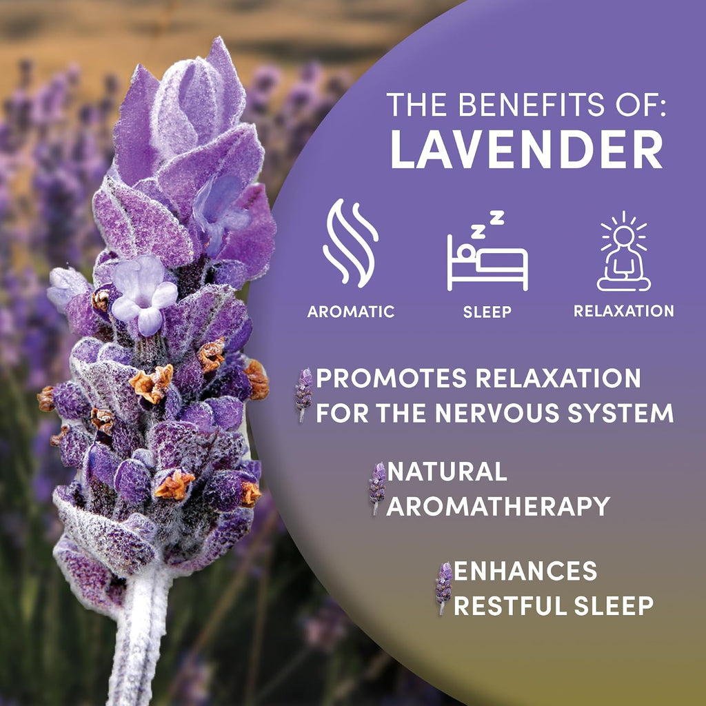 lavender flowers for calming tea