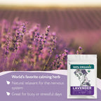lavender flowers for herbal infusions