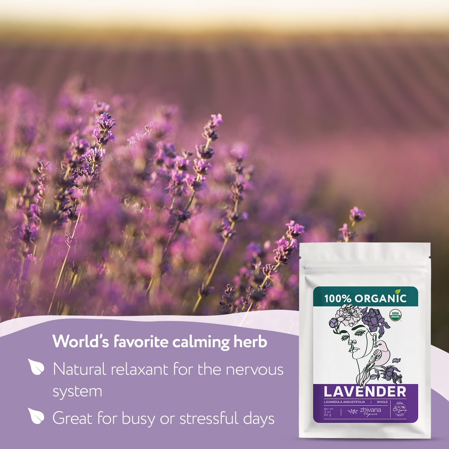 lavender flowers for herbal infusions