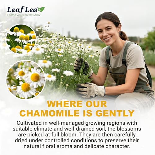 LeafLea chamomile tea for wellness