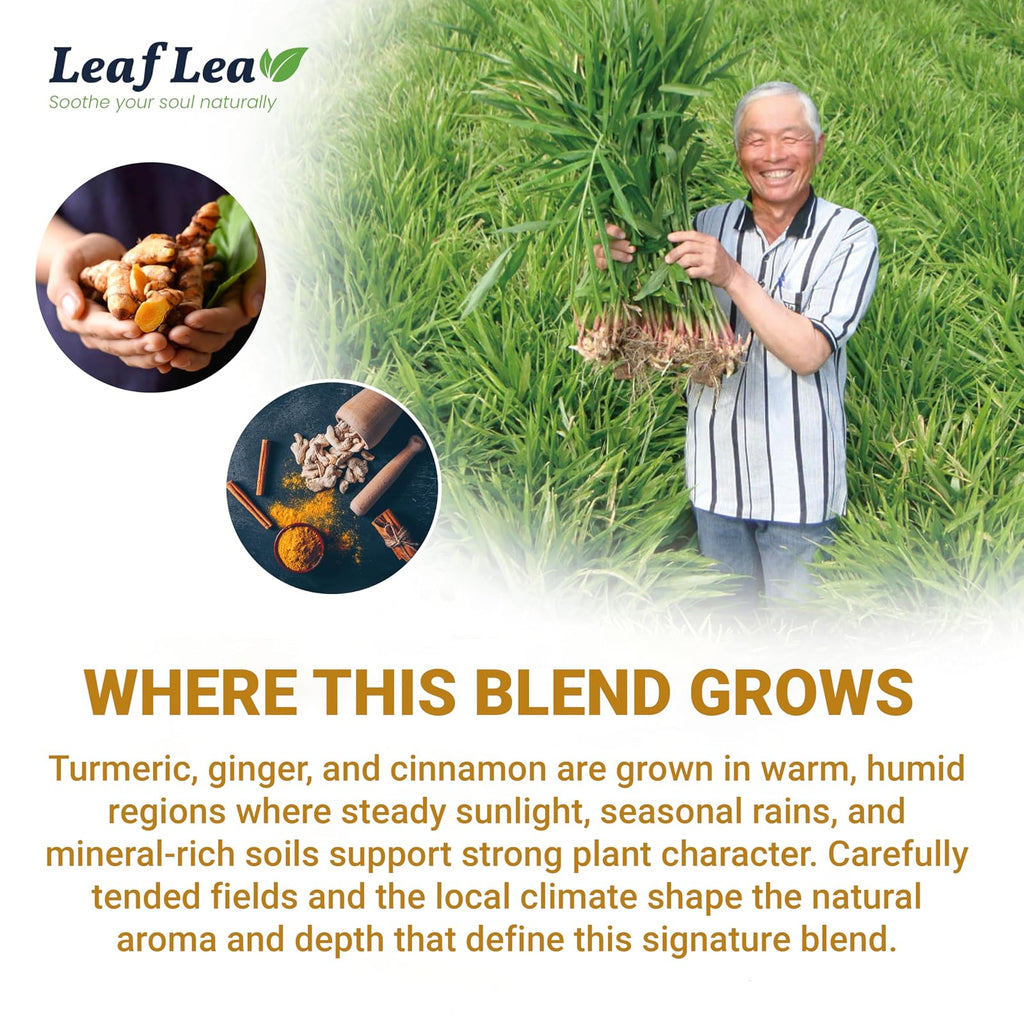 LeafLea cinnamon tea for immunity