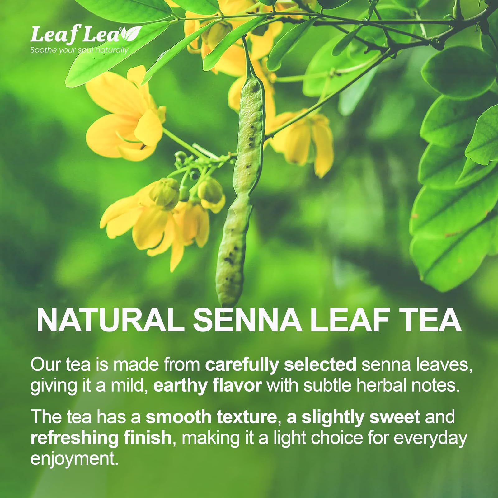 LeafLea detox herbal tea bags