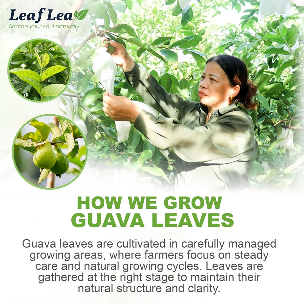 LeafLea herbal tea for digestion