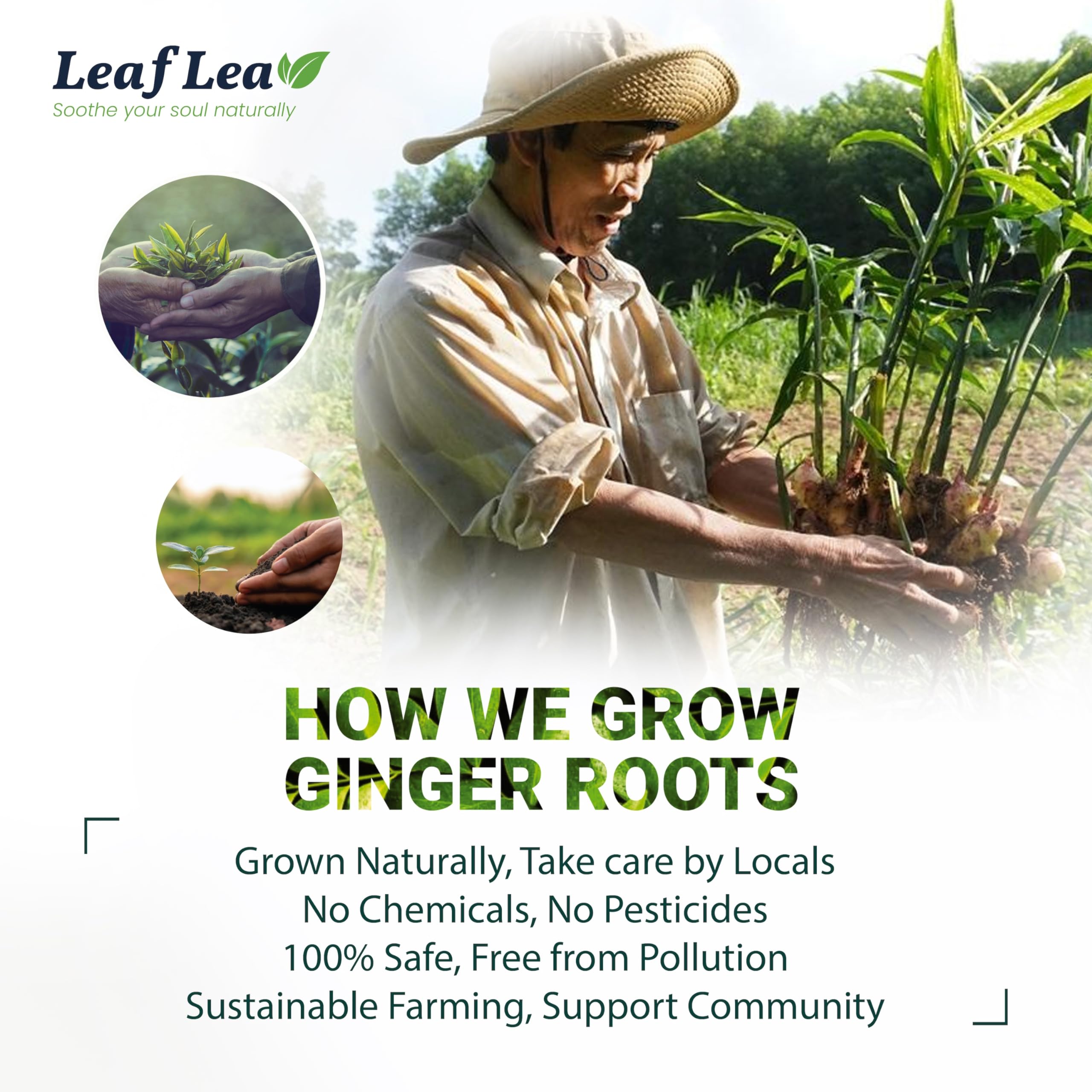 LeafLea herbal tea for relaxation