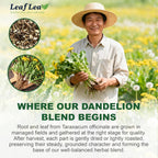 LeafLea tea for wellness