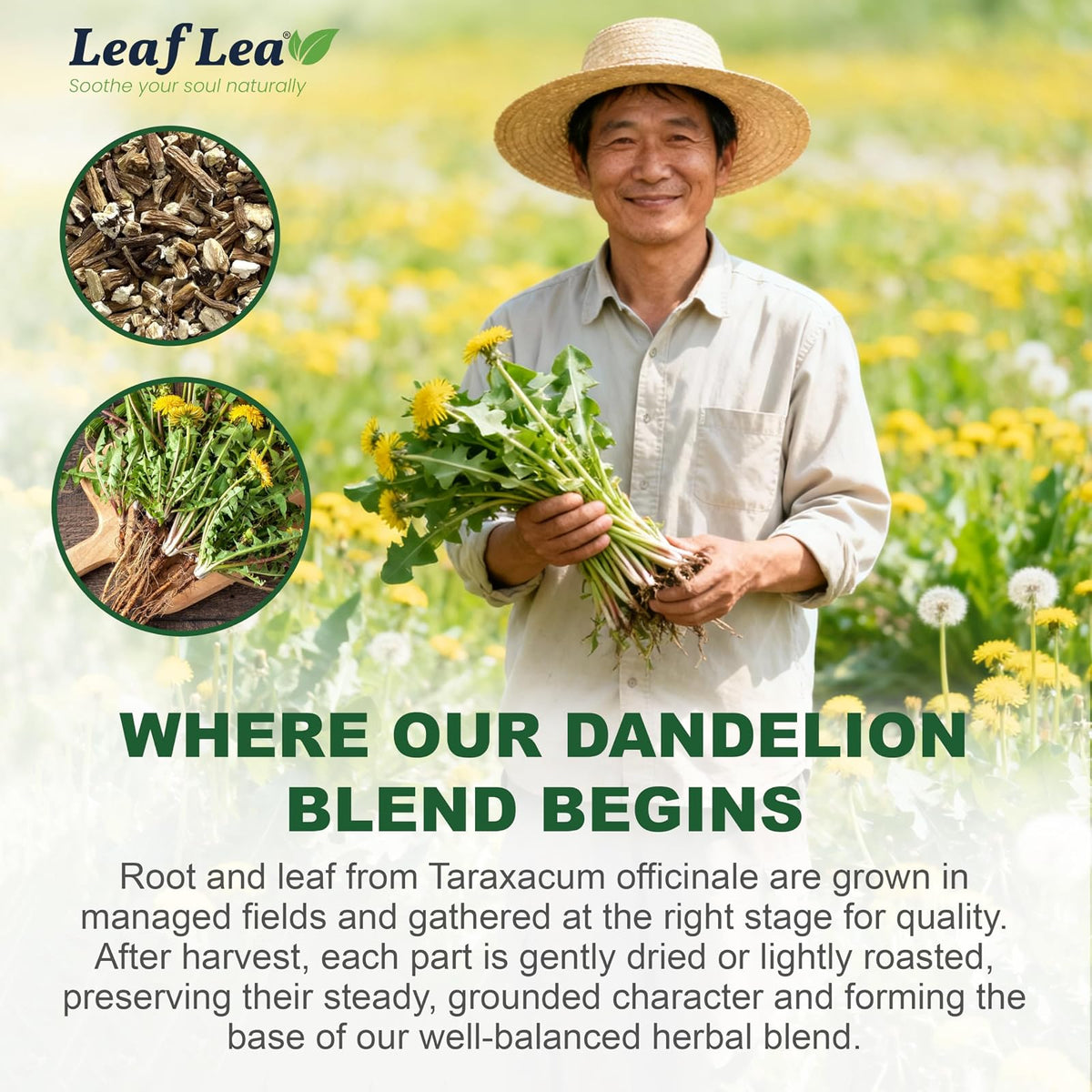 LeafLea tea for wellness