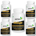 LEAFTOUCH shilajit supplement for vitality
