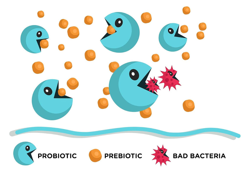 lean and pure probiotics tablets