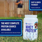 LeanFit whey for post-workout nutrition