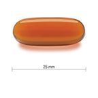 Lecithin capsules for daily nutrition