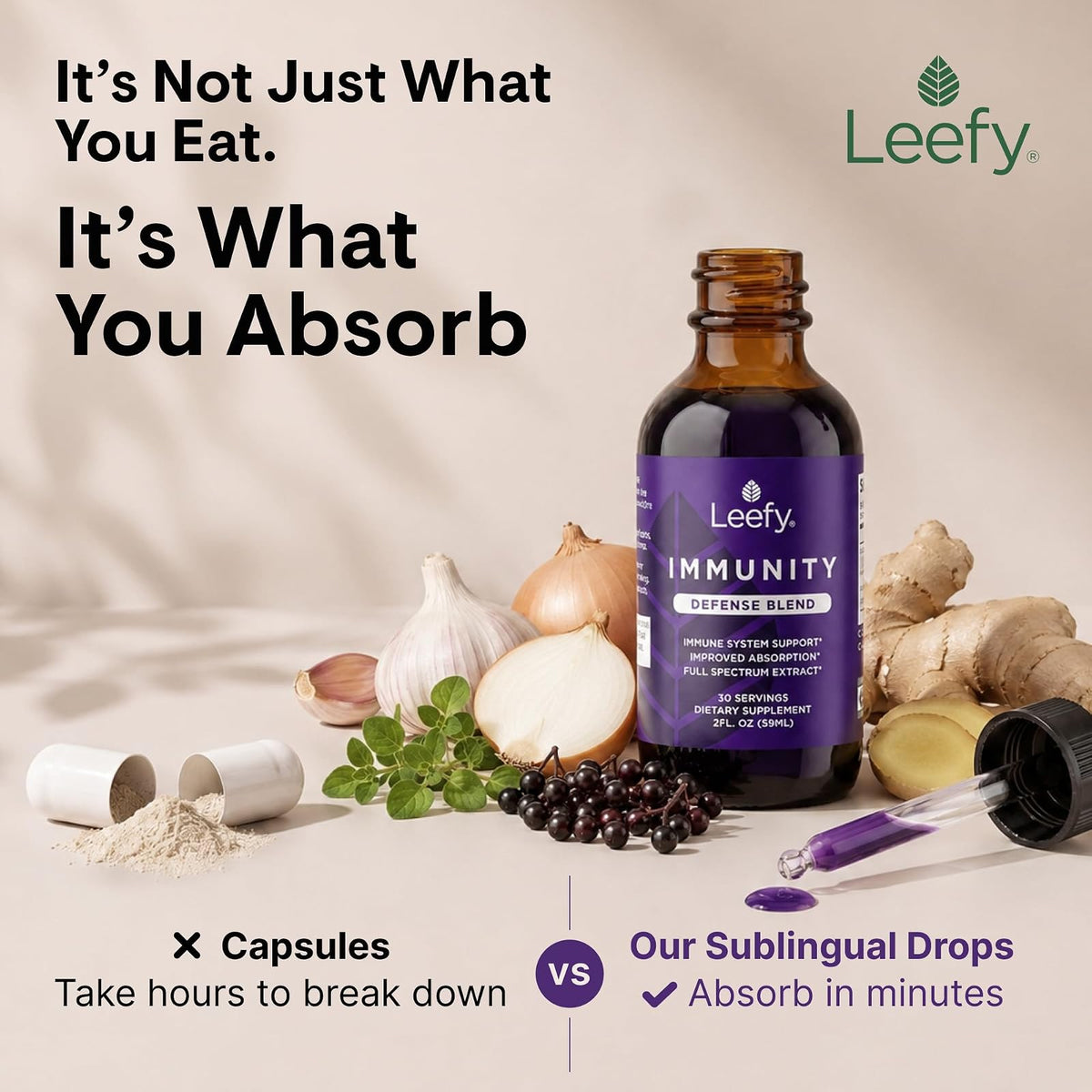 Leefy Organics elderberry health benefits