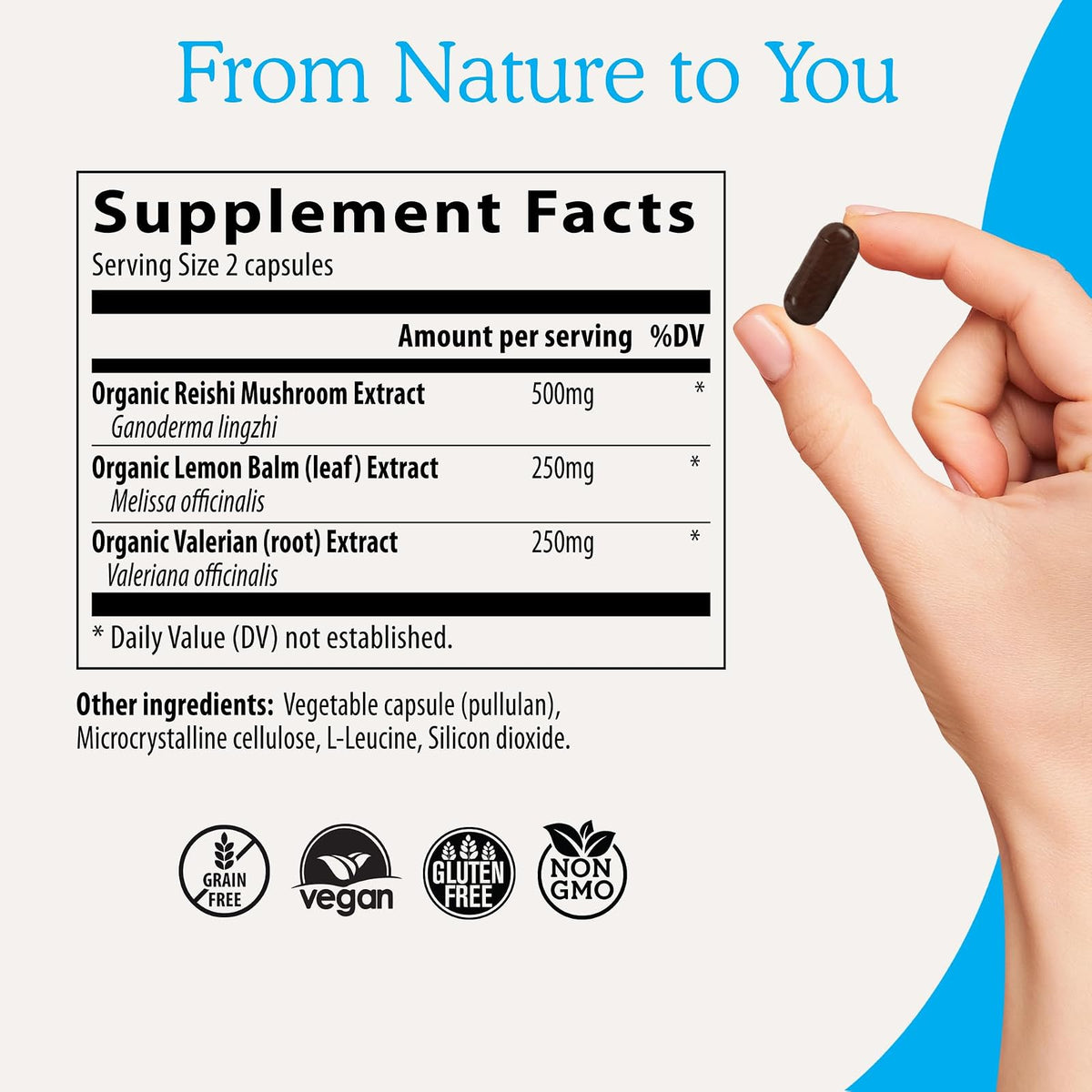 lemon balm and reishi benefits