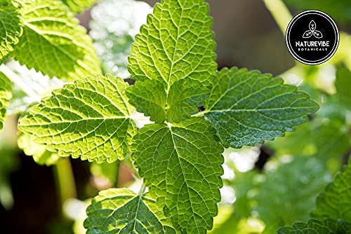 lemon balm extract health benefits