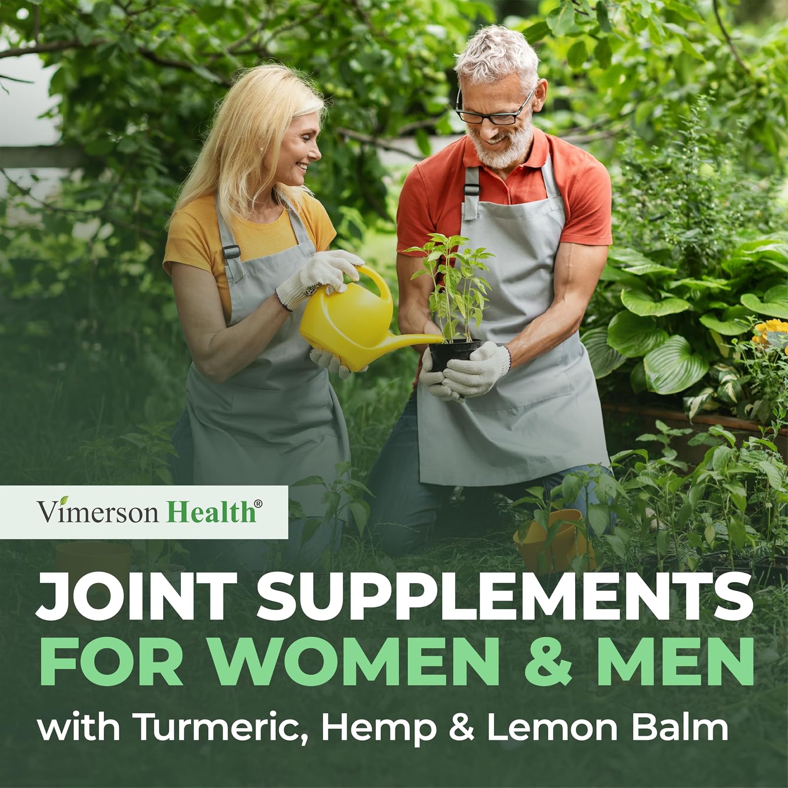 lemon balm infused turmeric curcumin
