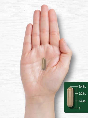 lemon balm supplement for stress management