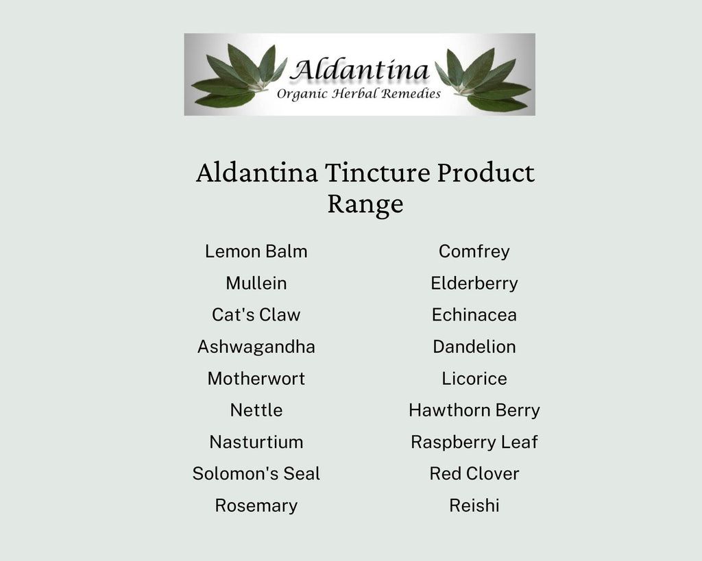 lemon balm tincture for immune support