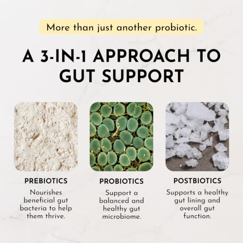 Lemon ginger capsules for gut wellness