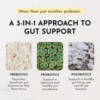 Lemon ginger capsules for gut wellness