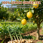 lemon ginger tea bags for morning wellness