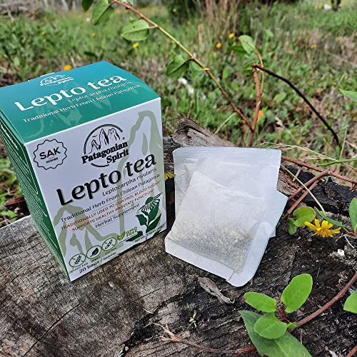 Leptocarpha Rivularis wellness tea