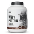 Levels whey protein chocolate mocha