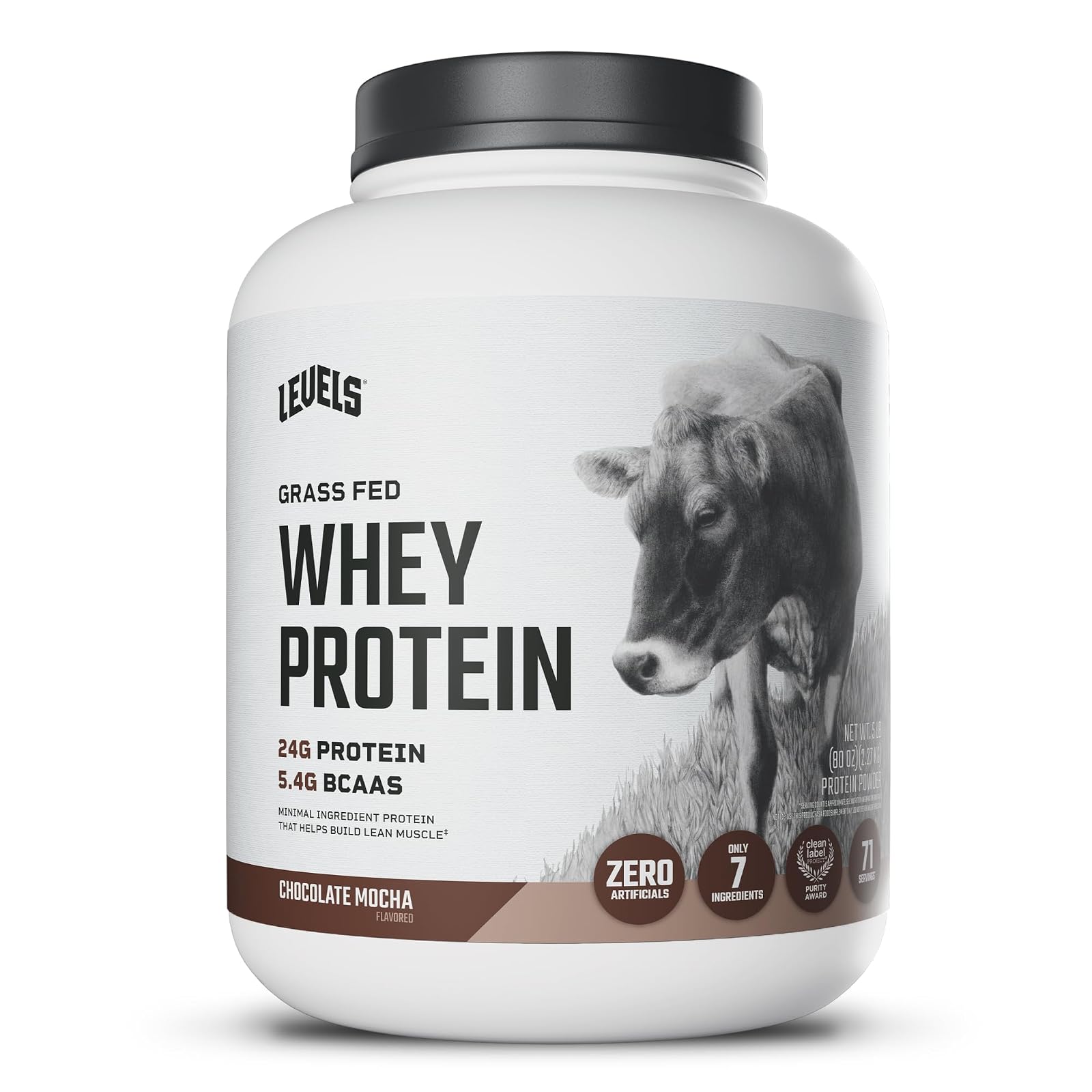 Levels whey protein chocolate mocha