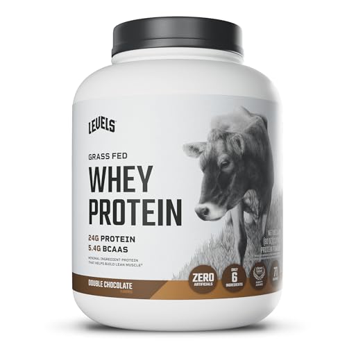Levels whey protein double chocolate