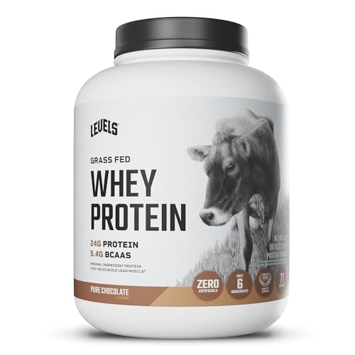 Levels whey protein powder chocolate flavour