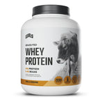 Levels whey protein powder vanilla cinnamon