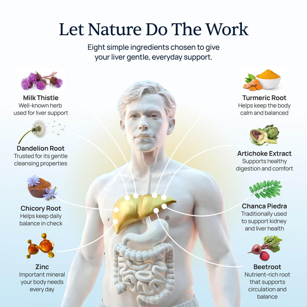 Levitox milk thistle for wellness