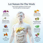 Levitox milk thistle for wellness