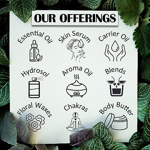 licorice oil for herbal remedies