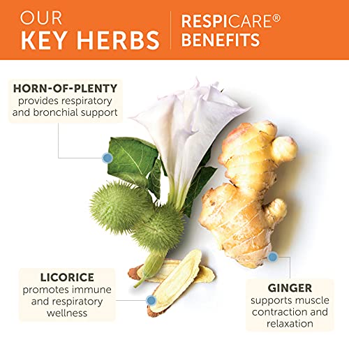 licorice root for respiratory comfort