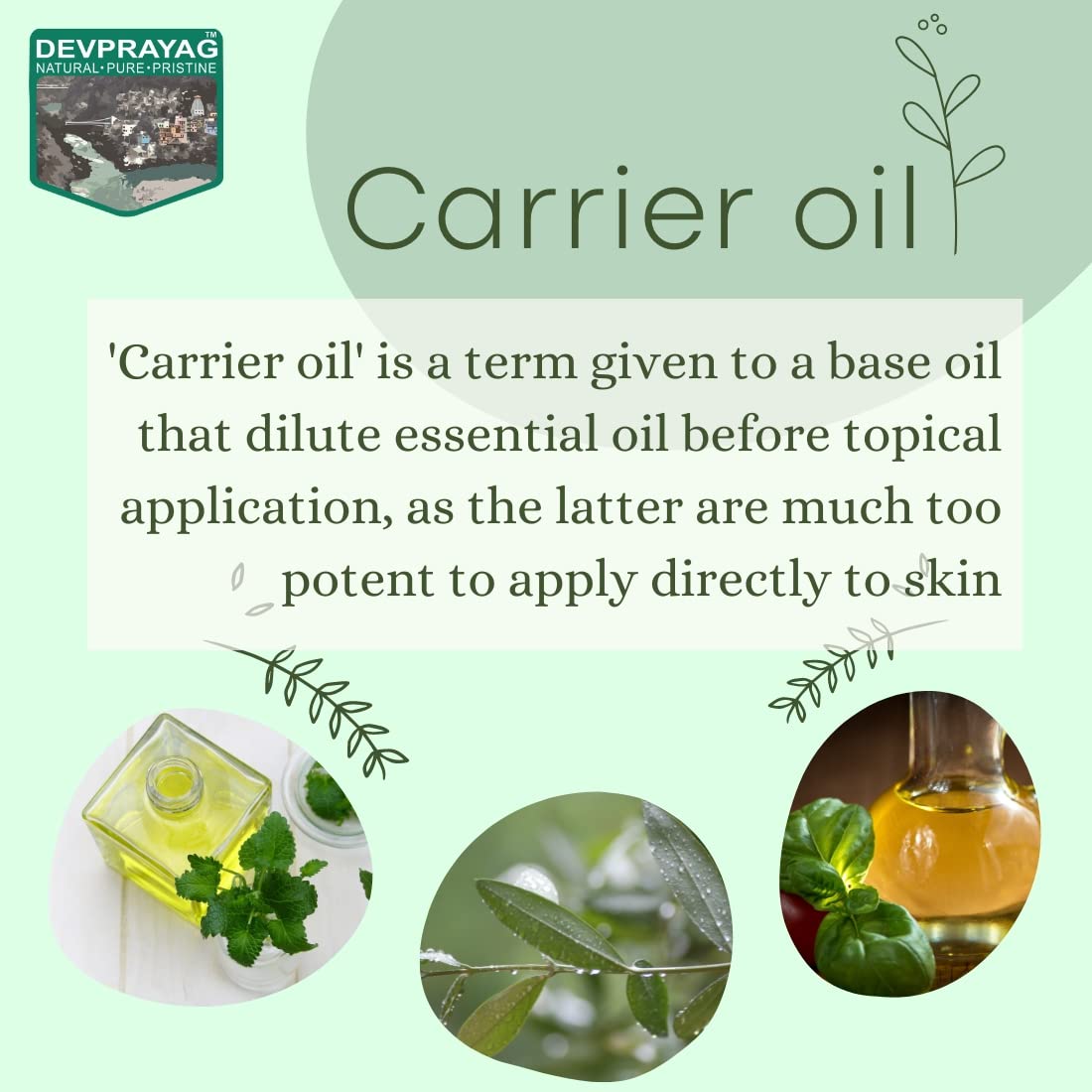 licorice root oil for digestive health
