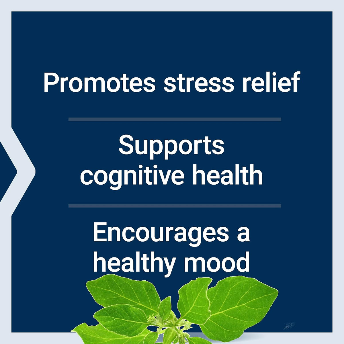 Life Extension adaptogenic Ashwagandha benefits