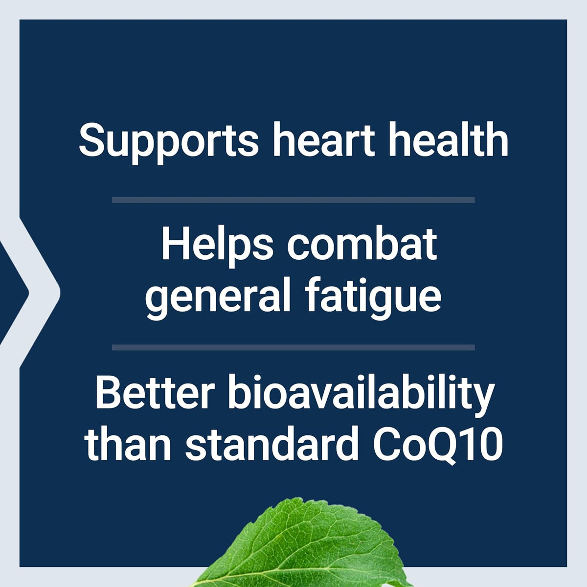 life extension coq10 antioxidant benefits