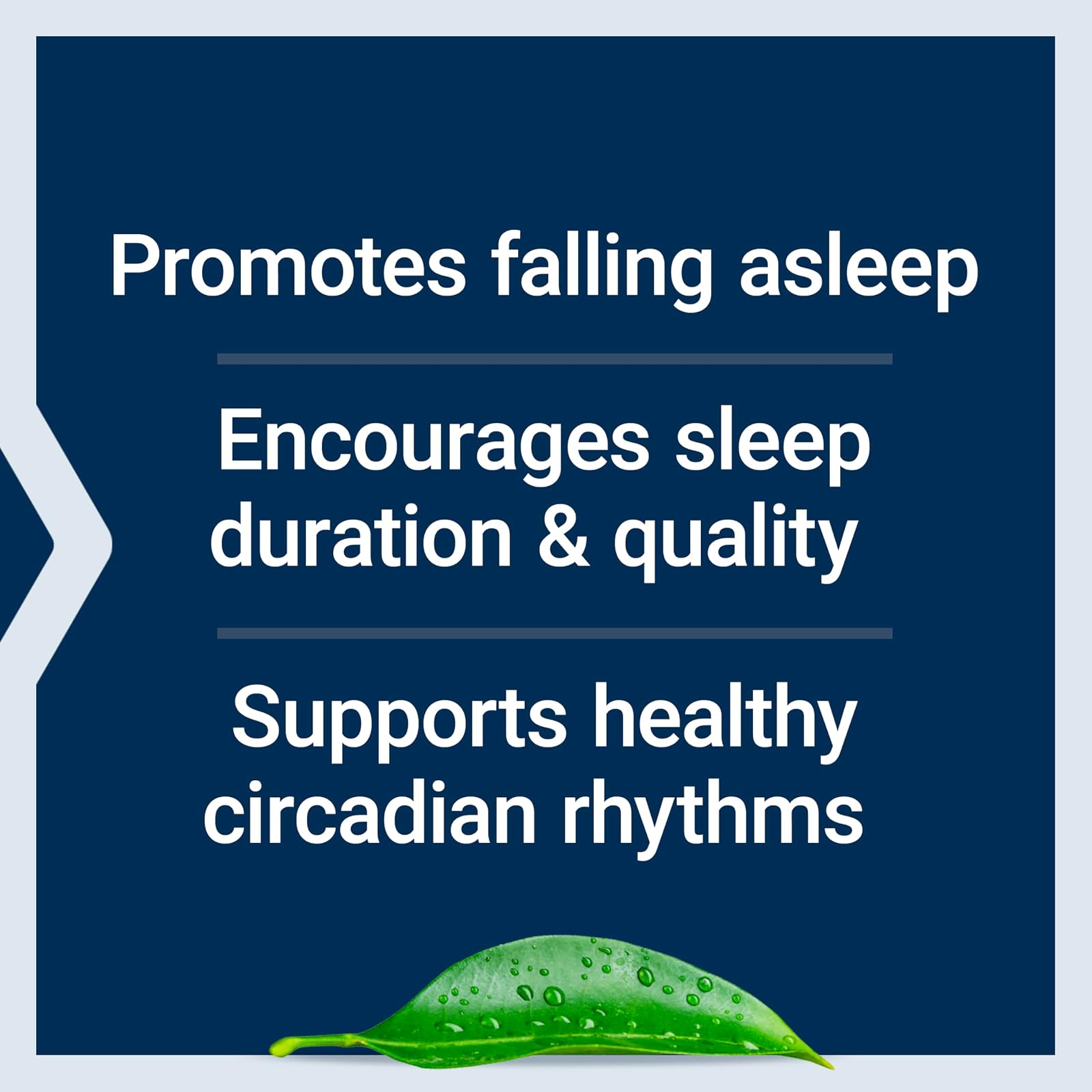 Life Extension melatonin supports restful nights