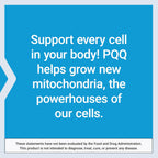 Life Extension PQQ antioxidant properties
