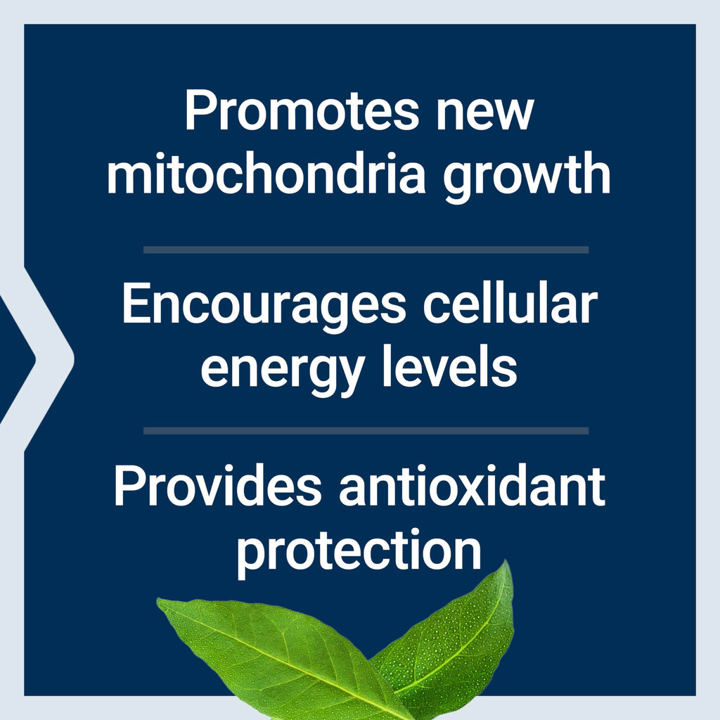 Life Extension PQQ for cellular energy