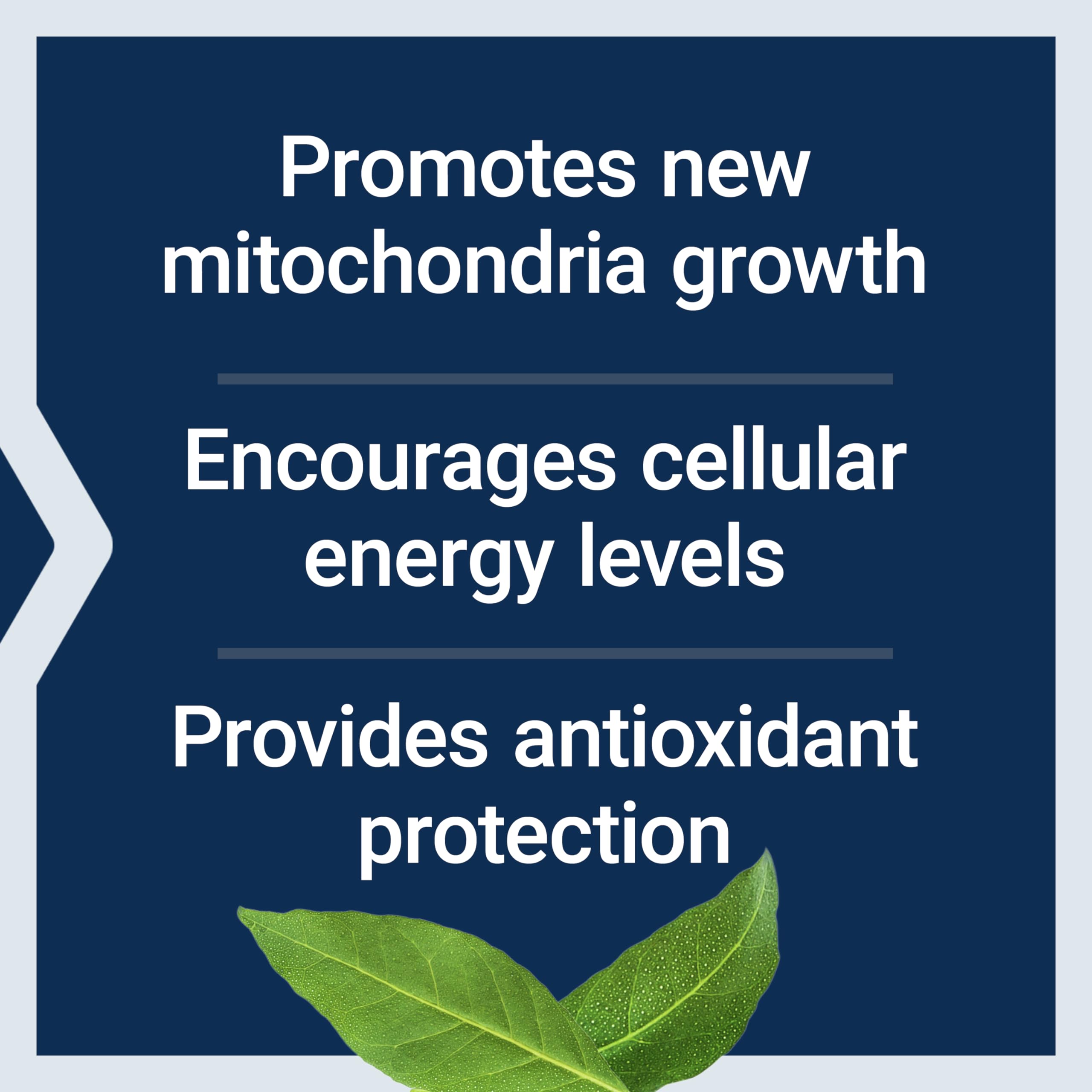 Life Extension PQQ for cellular energy