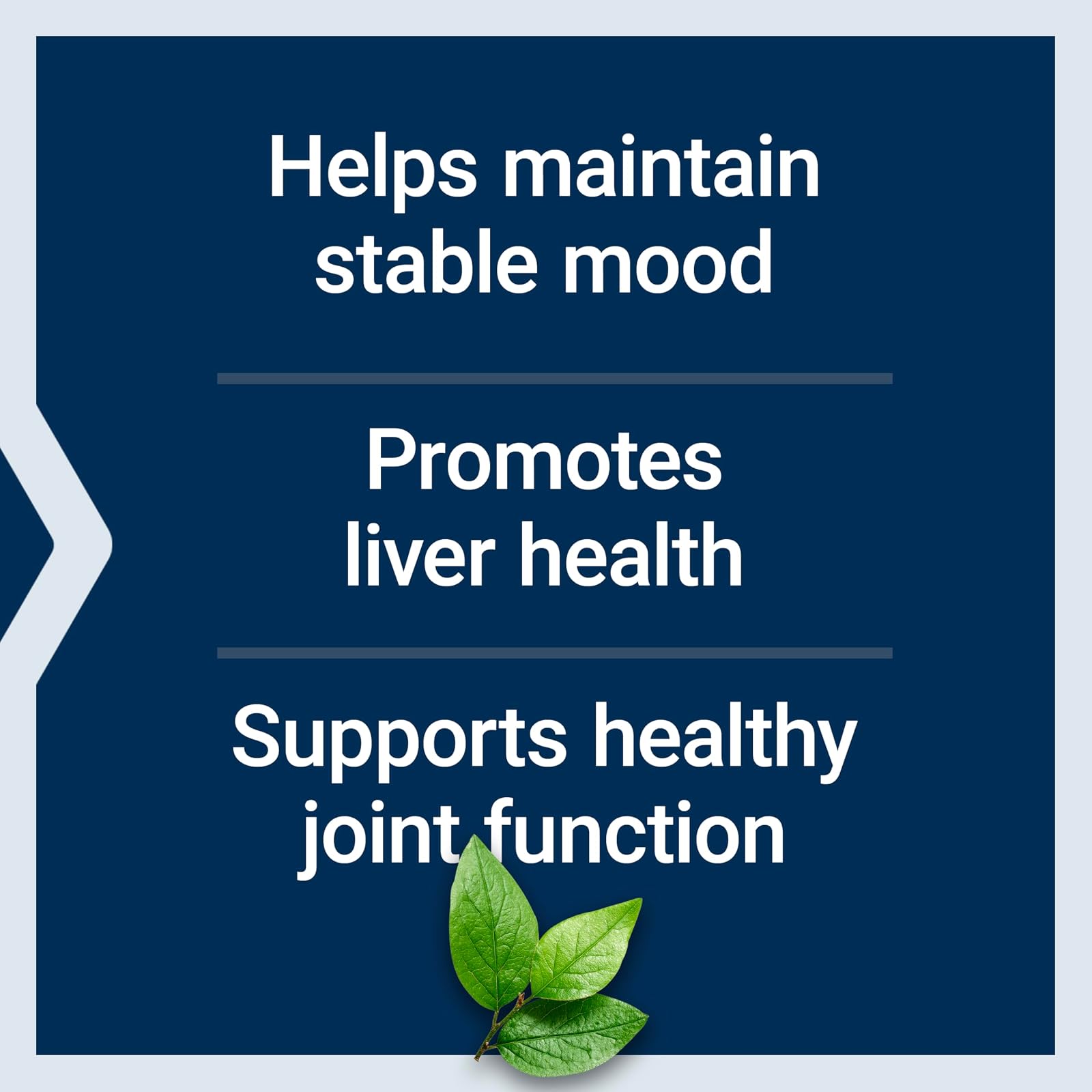 Life Extension Same kids multivitamin