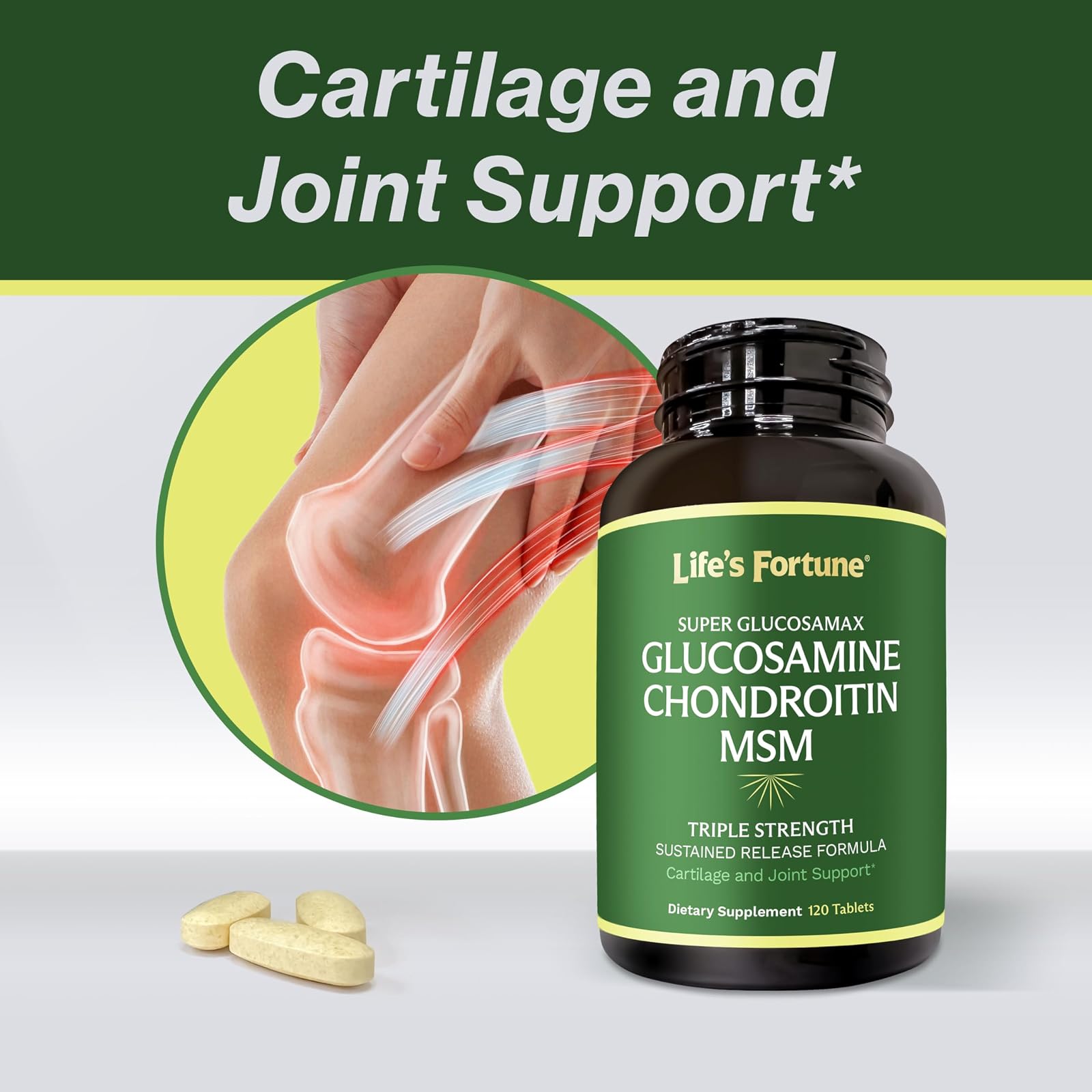 Life's Fortune glucosamine for mobility