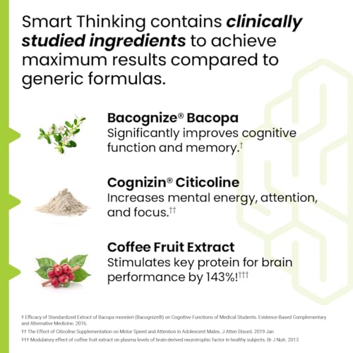 LifeSeasons NeuroQ brain support