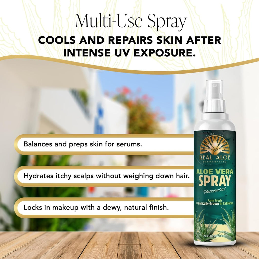 lightweight aloe vera mist for travel
