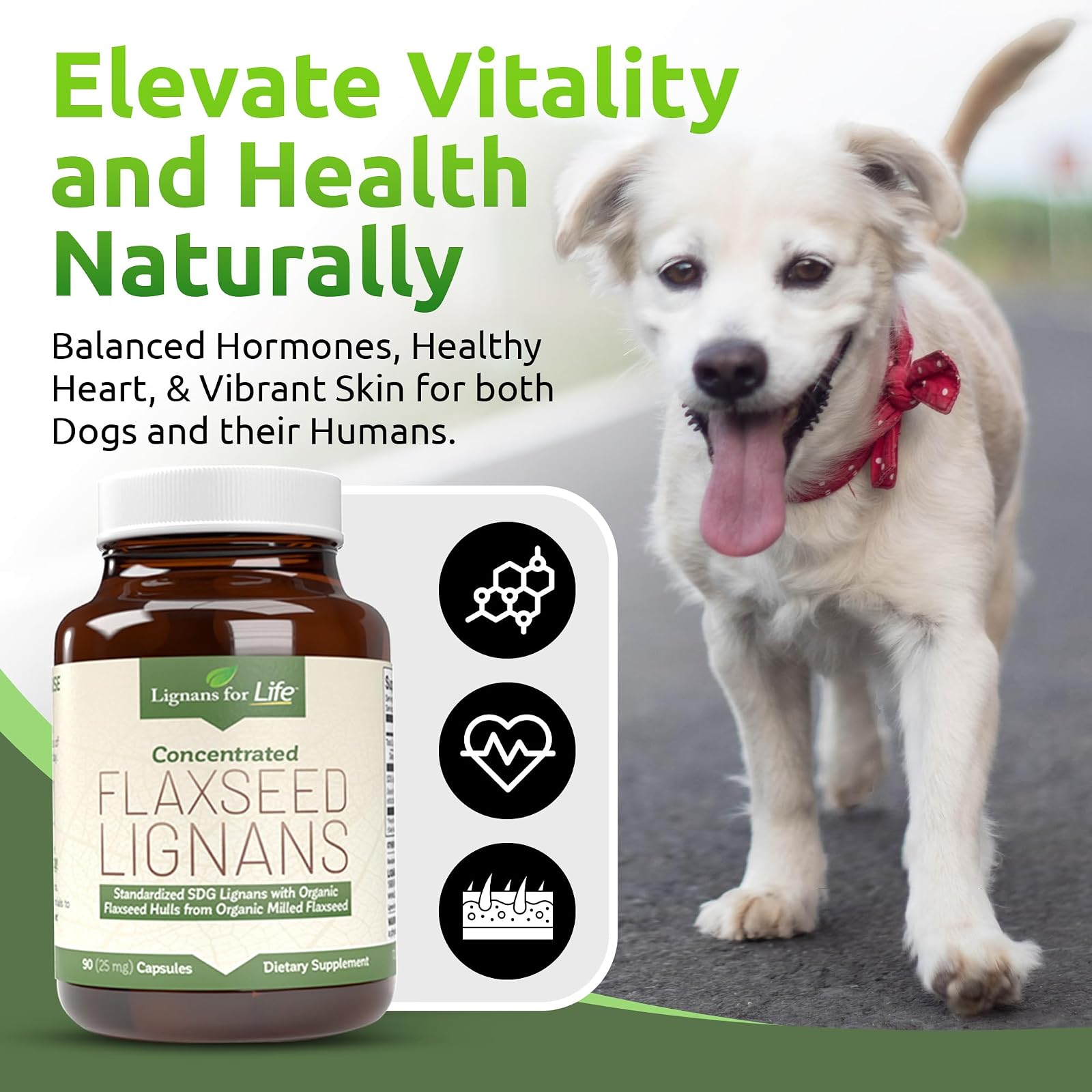 Lignans For Life flaxseed capsules