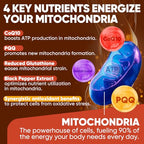 LILICARE CoQ10 softgels boost vitality