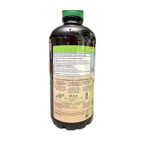 Lily aloe vera for daily wellness