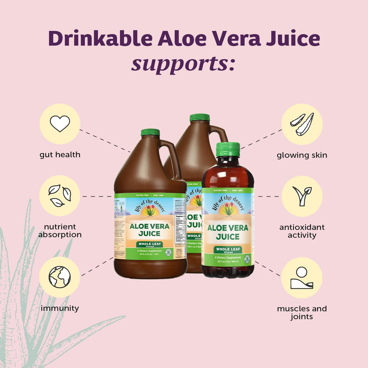 Lily of the Desert herbal wellness drink
