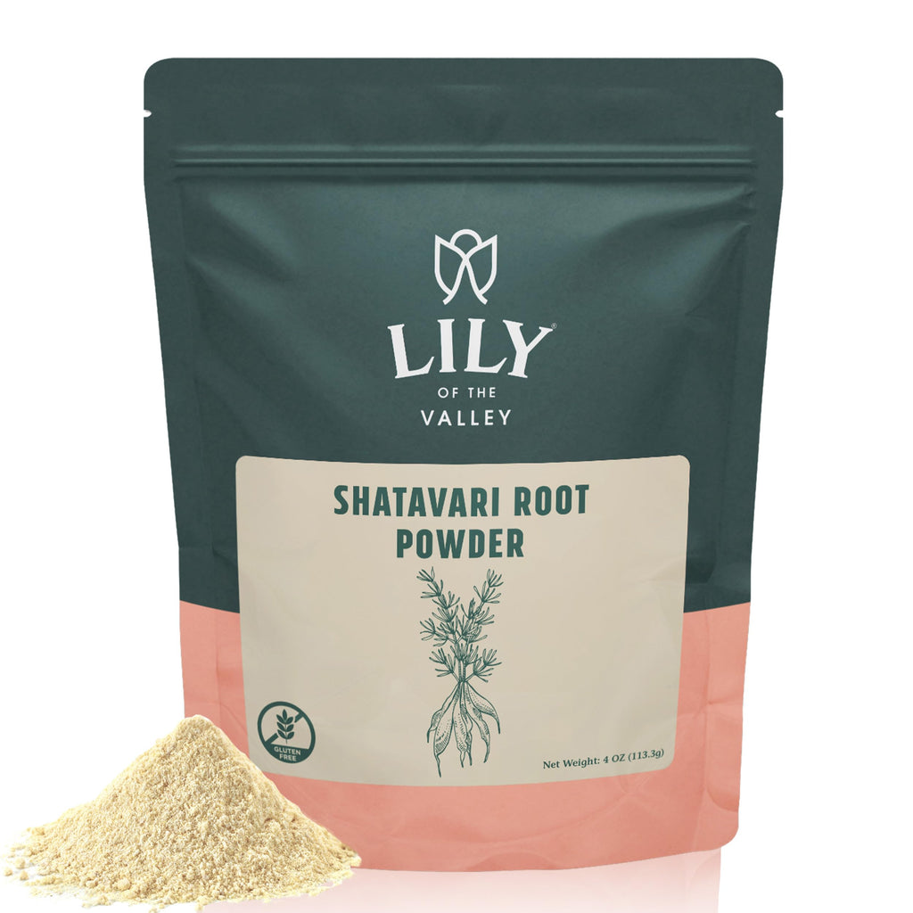 Lily Shatavari root powder benefits